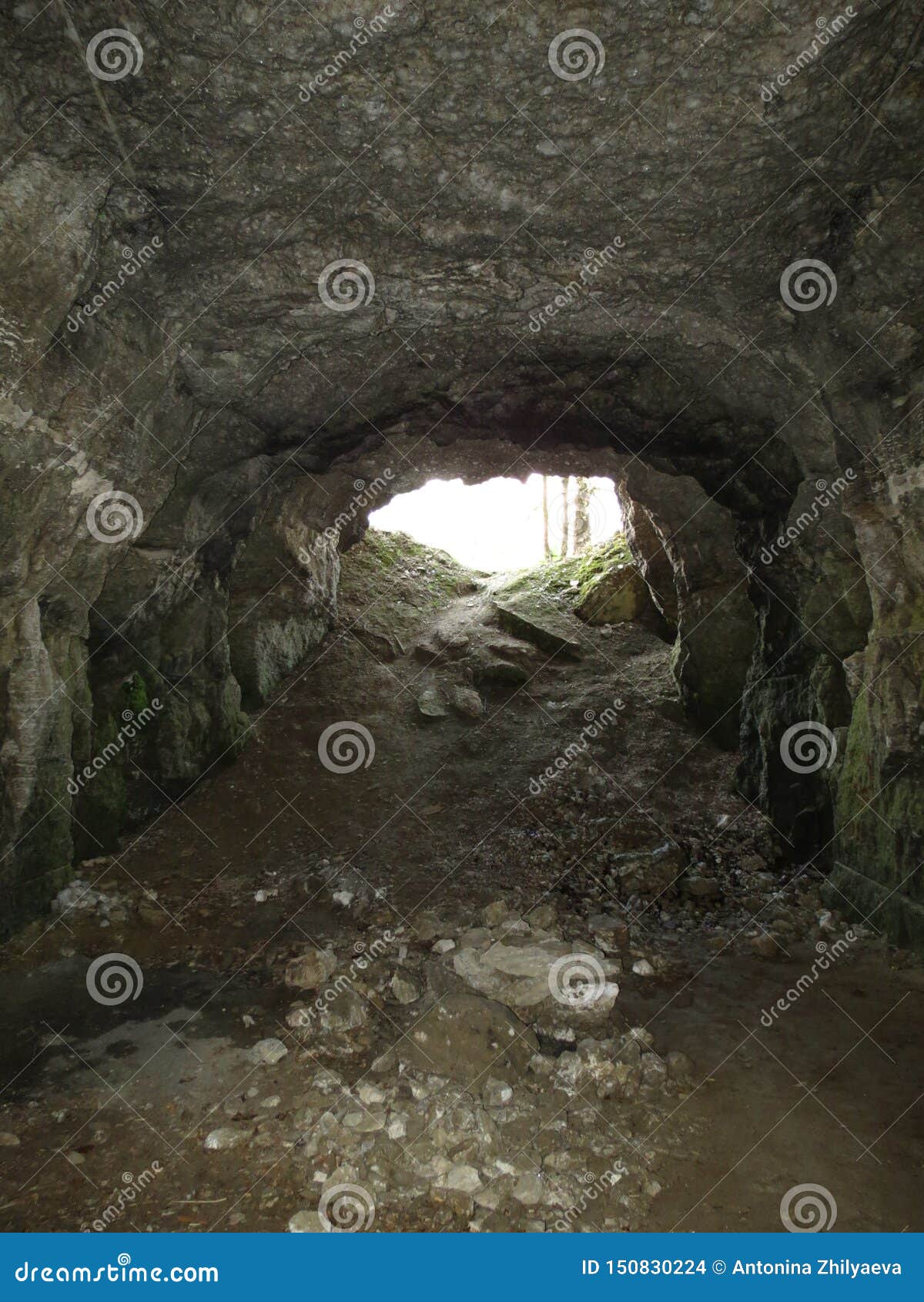 Exit the Cave into the Forest Stock Photo - Image of light, rocks ...