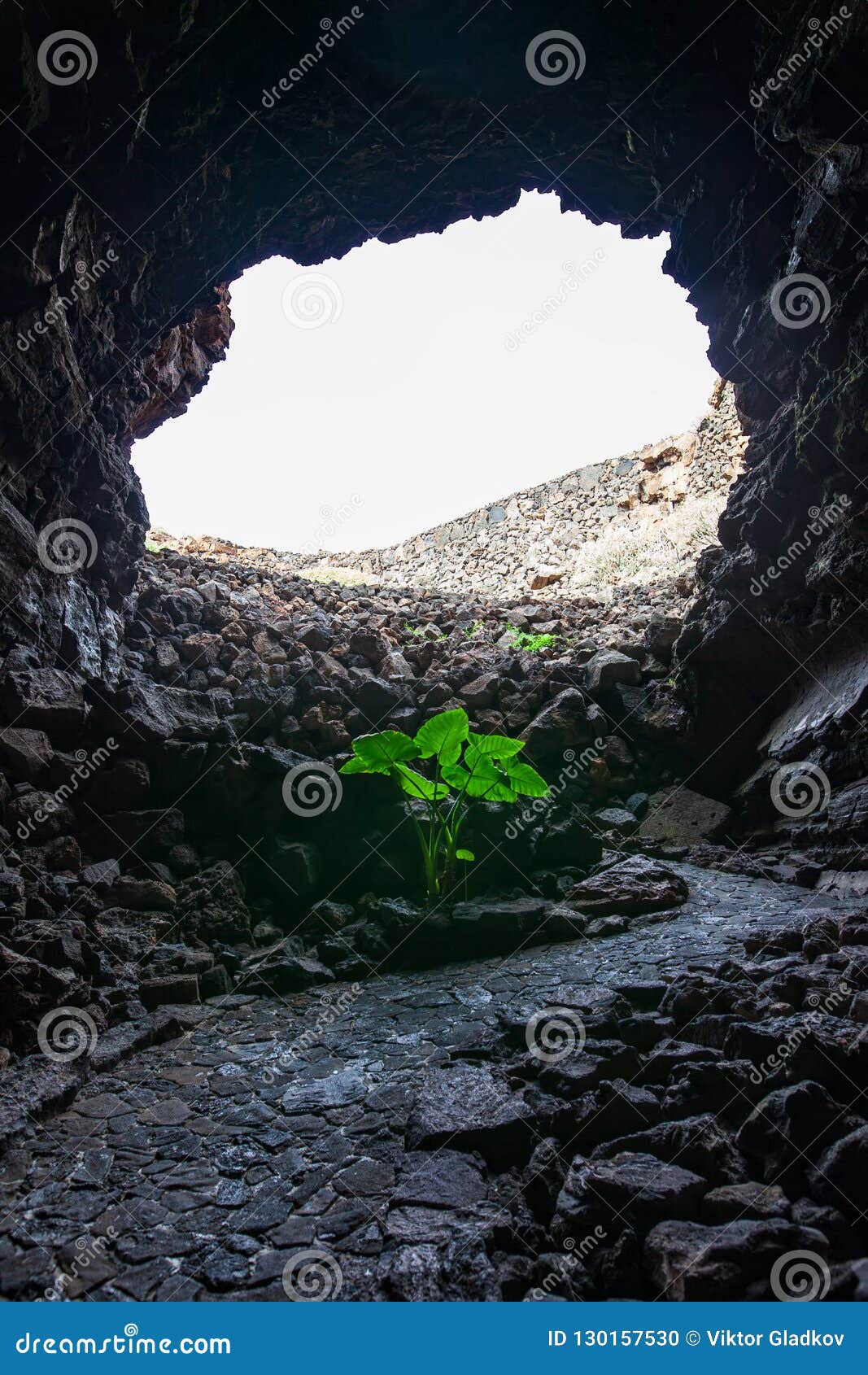 Exit from the cave stock photo. Image of inside, frighten - 130157530