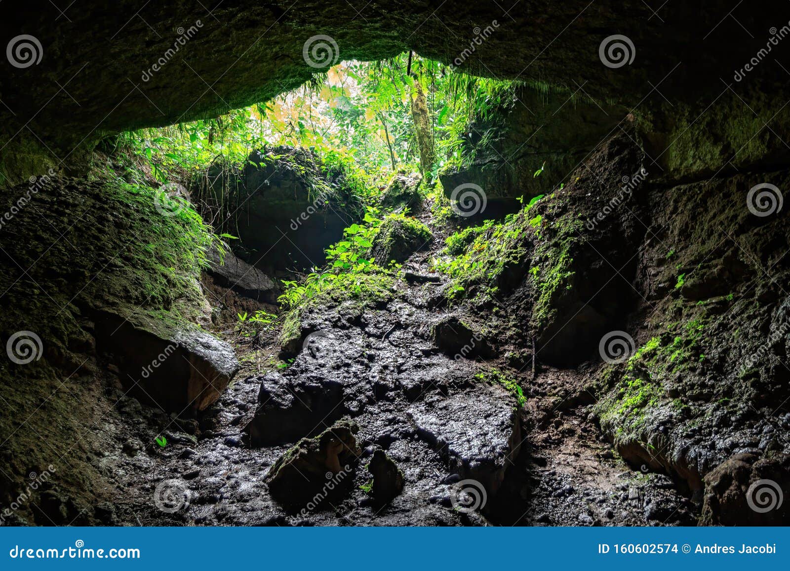 Exit of a Cave Seen from the Inside. You Can See Lianas and the ...
