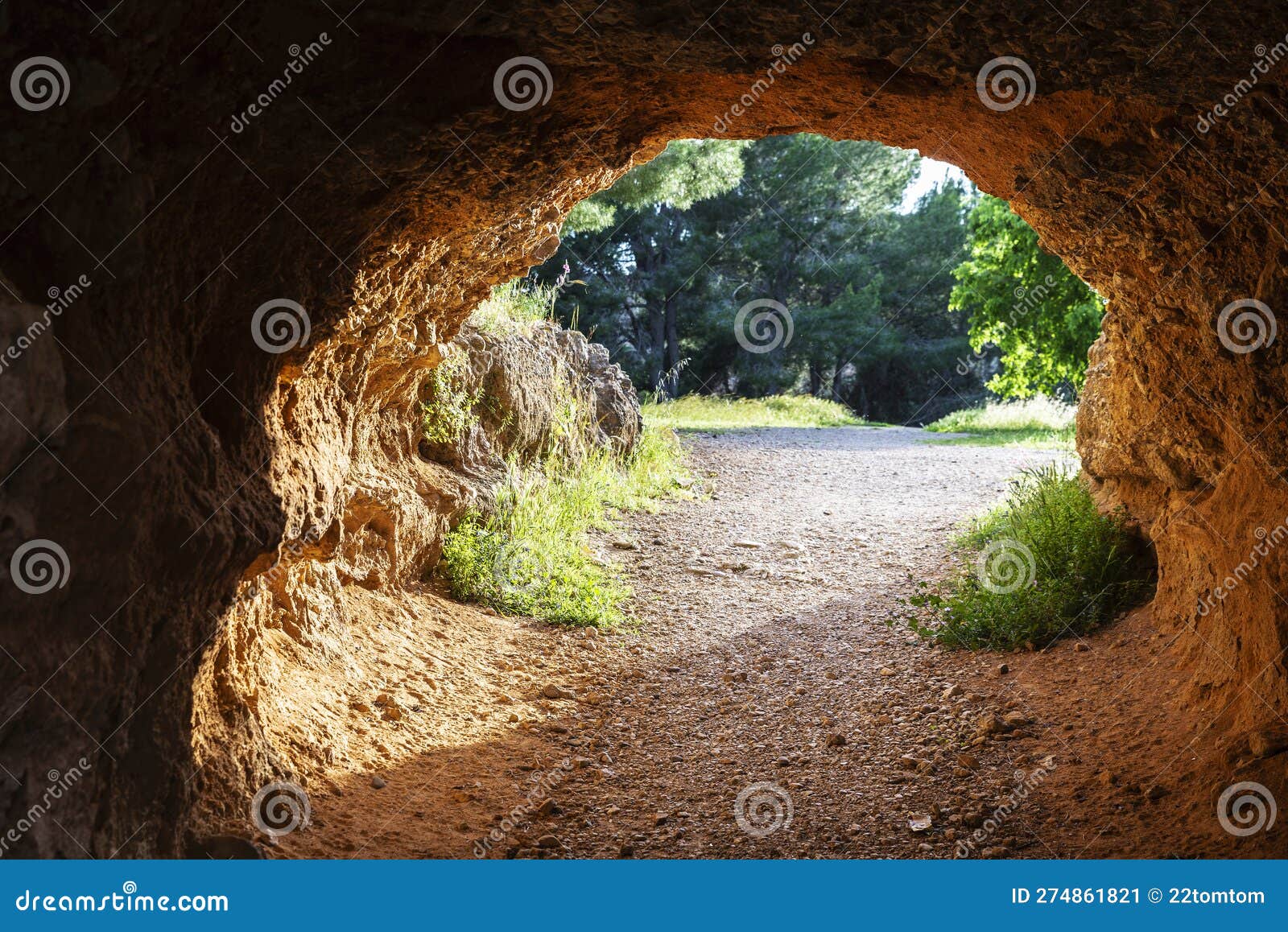 Exit from a Cave or Tunnel into the Forest Stock Image - Image of ...
