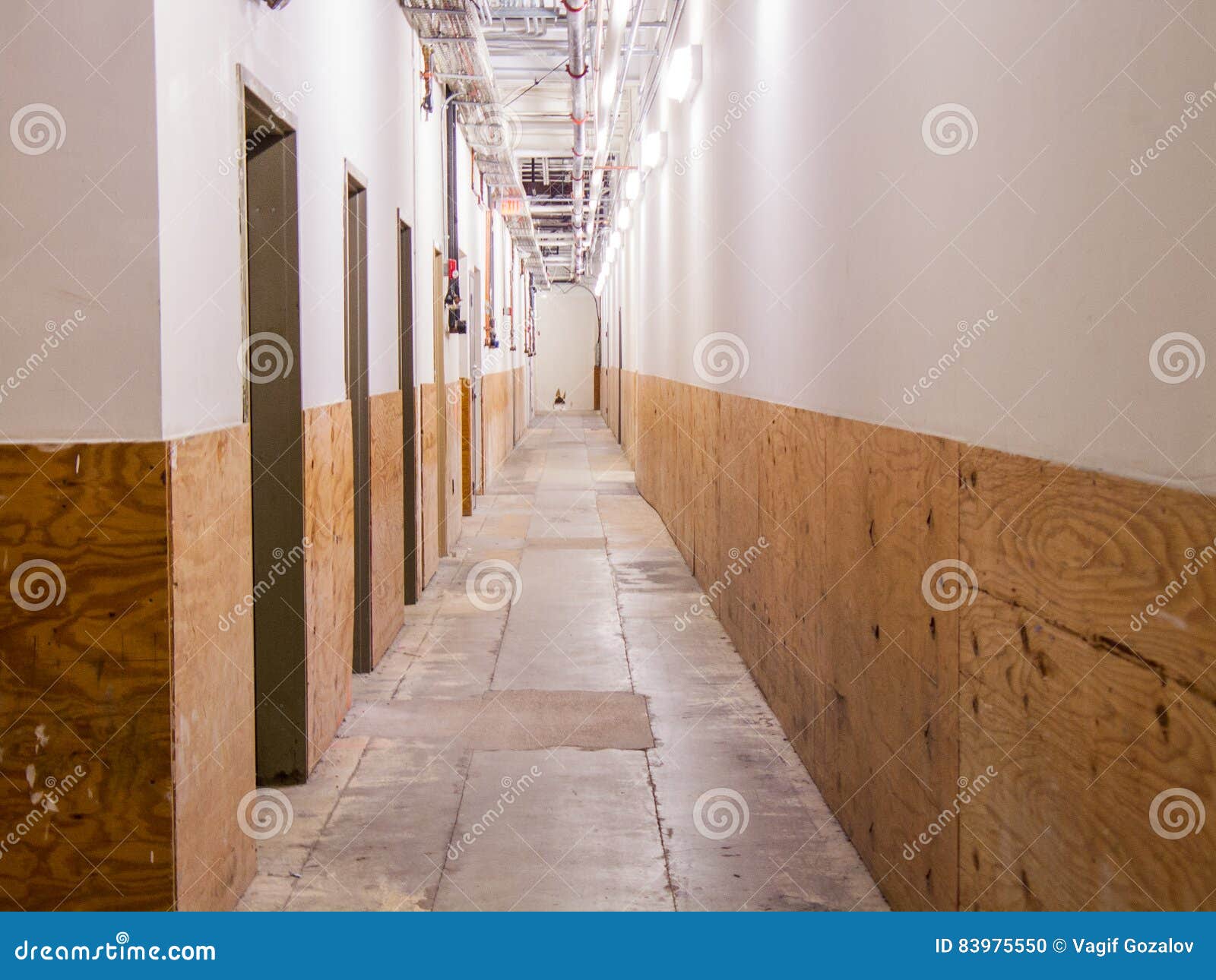 Exit corridor stock photo. Image of bright, green, doorway - 83975550