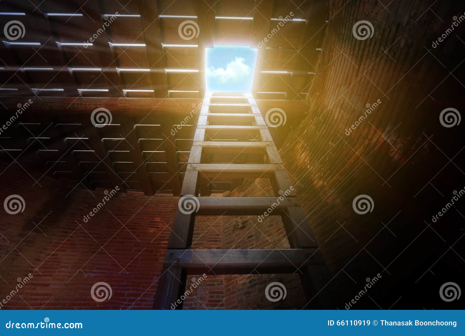 Exit of a Dark Room, Wood Ladder from Basement Up To See the Sky Stock ...