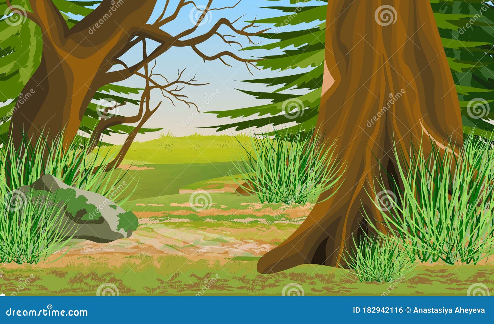 Exit from the Forest To the Field or Meadow. Grass, Stones, Tree Trunks ...