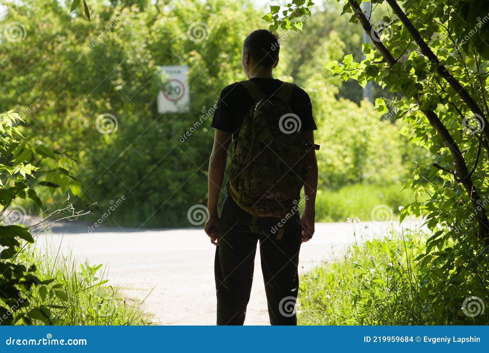 Exit from the Forest To the Road Flooded with Bright Sun. the Guy Comes ...