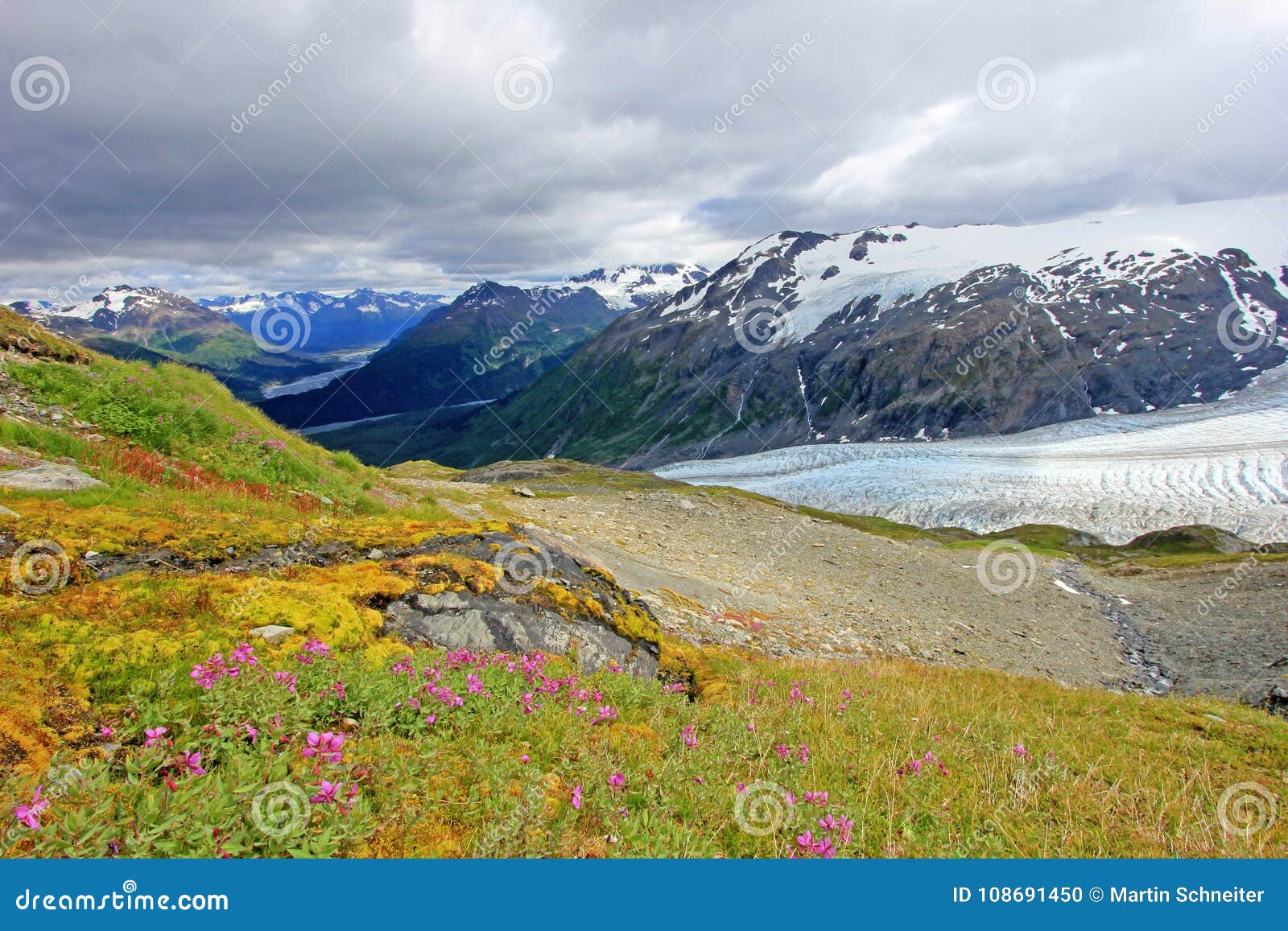 Exit Glacier, Harding Ice Field, Kenai Fjords National Park, Alaska ... Exit Glacier, Harding Ice Field, Kenai Fjords National Park, Alaska ...
