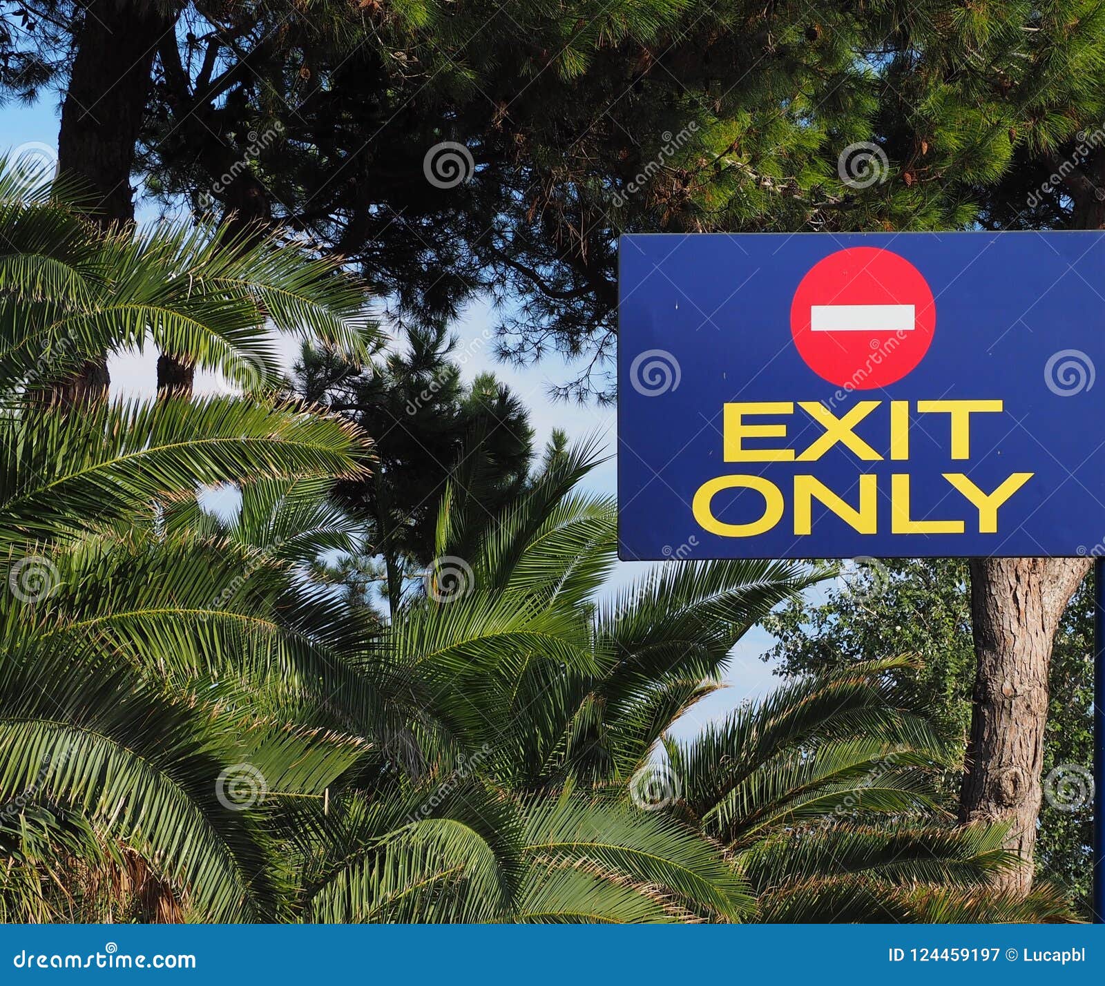 Exit only, No Entry Traffic Sign, on Blue Signboard with the Text in ...