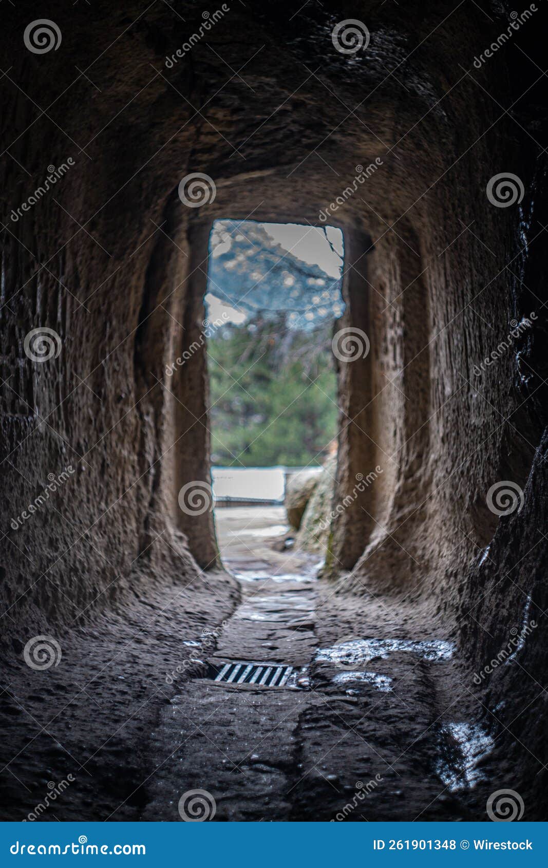 Exit of an Old Tunnel with a View of Forest Stock Photo - Image of ruin ...