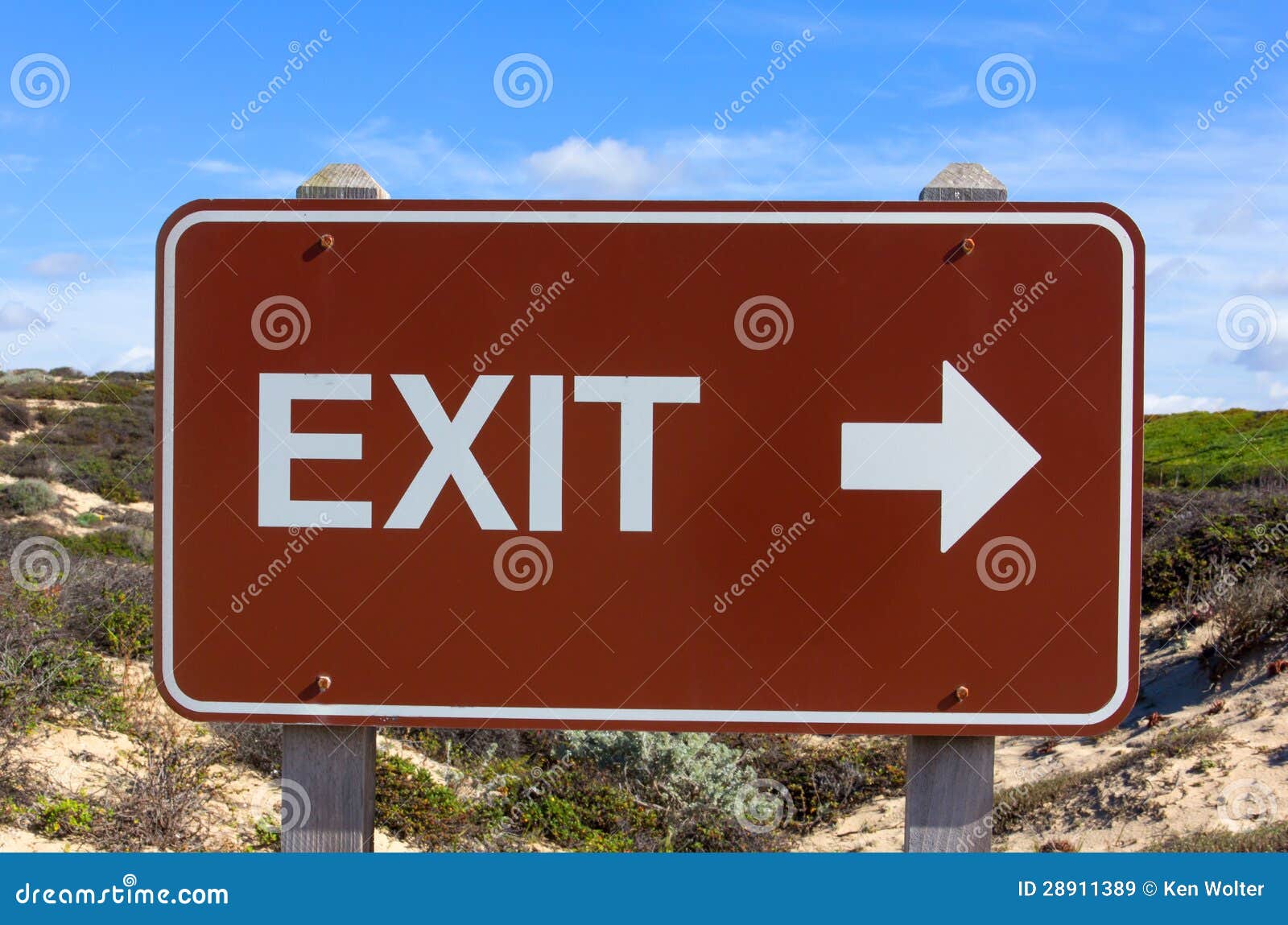 Exit Road Sign with Arrow stock image. Image of foliage - 28911389