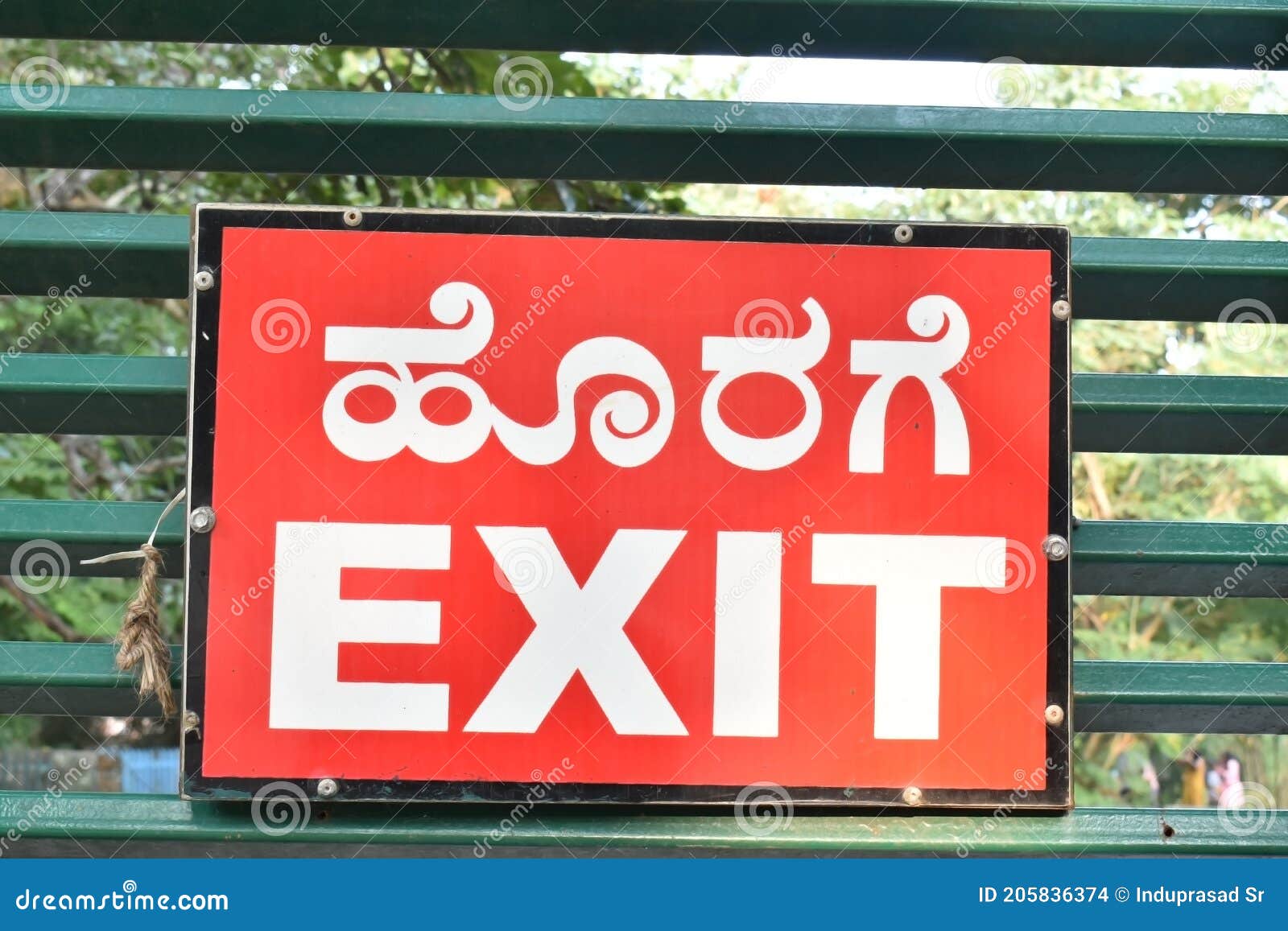 Exit sign board stock photo. Image of exit, poster, banner - 205836374