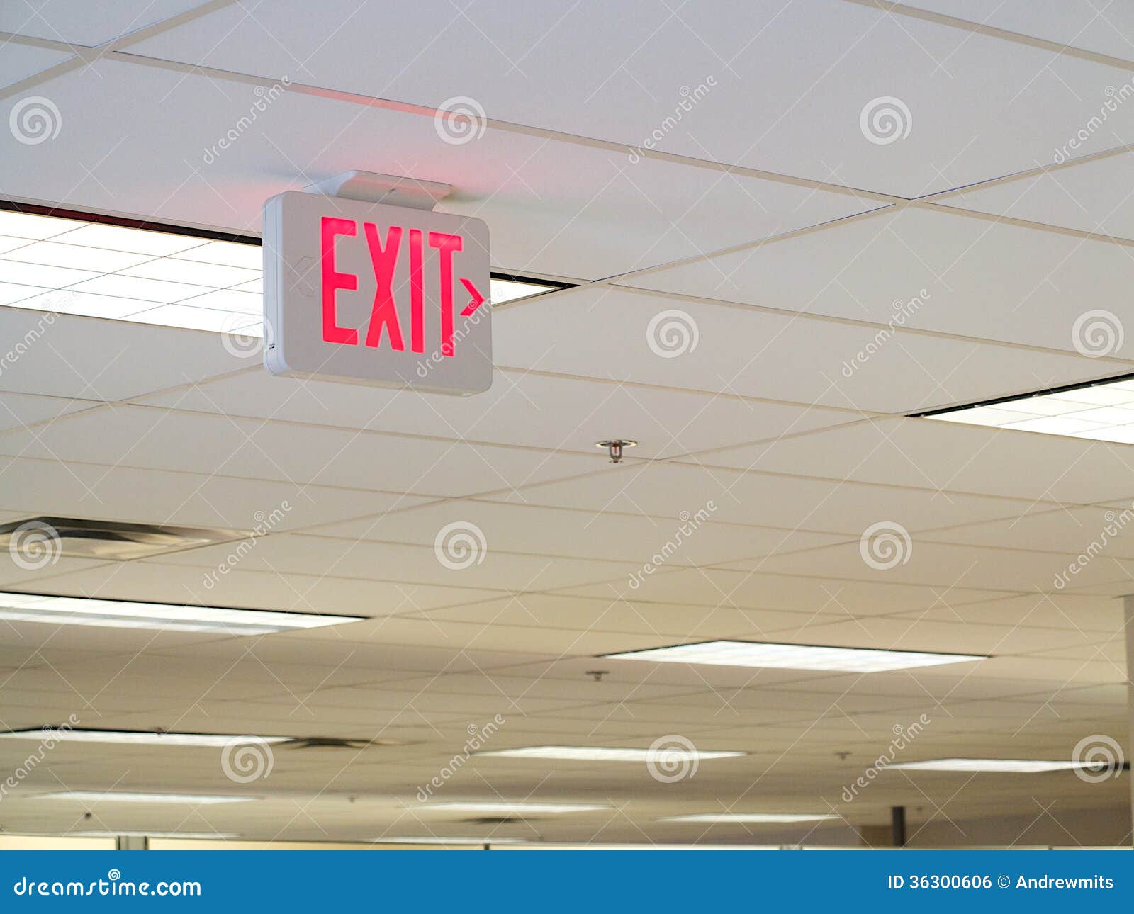 Exit Sign on Ceiling stock photo. Image of arrow, direction - 36300606