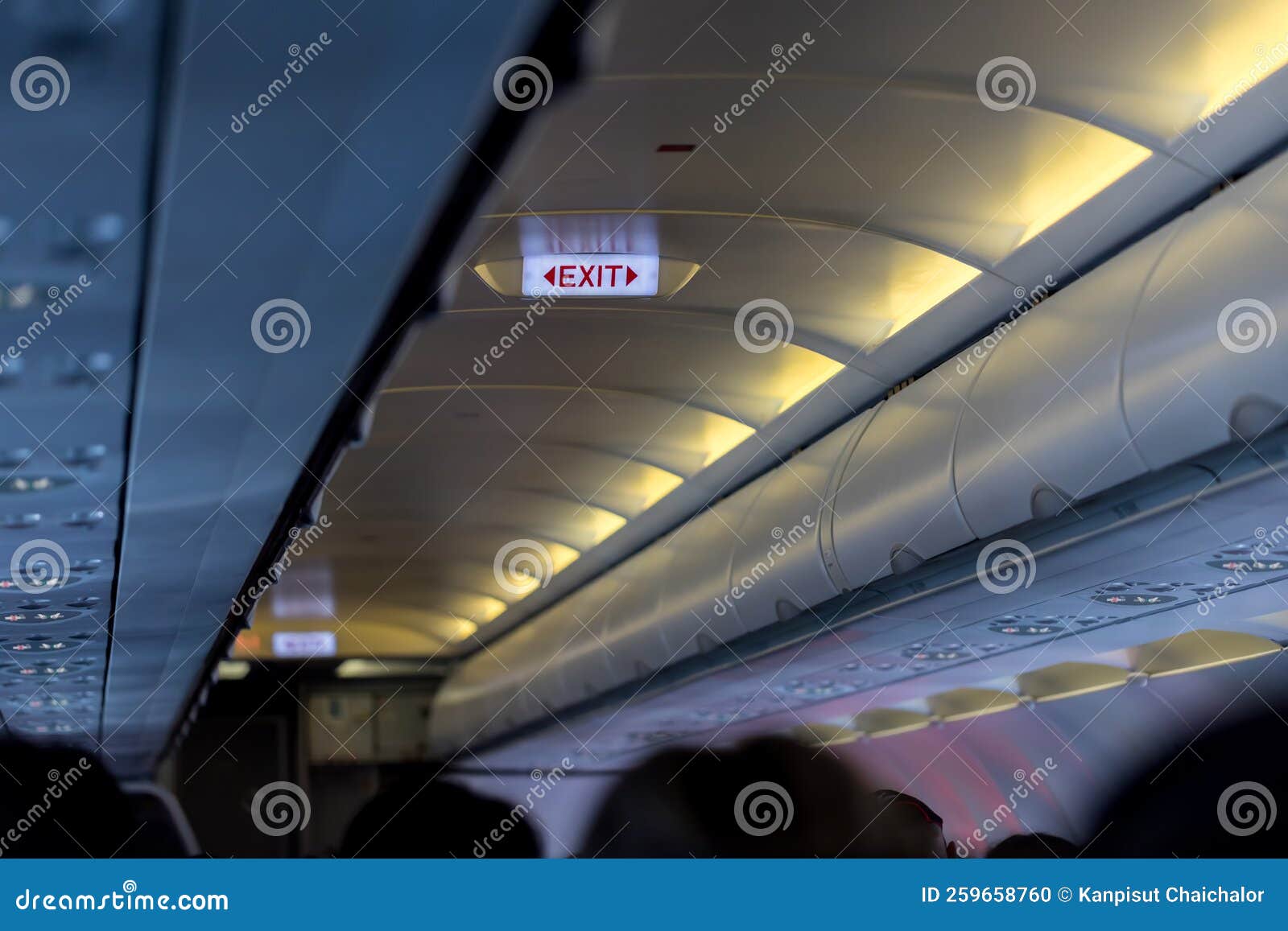 Exit Sign in Passenger Airplane. Emergency Exit Sign on Airplane Stock ...