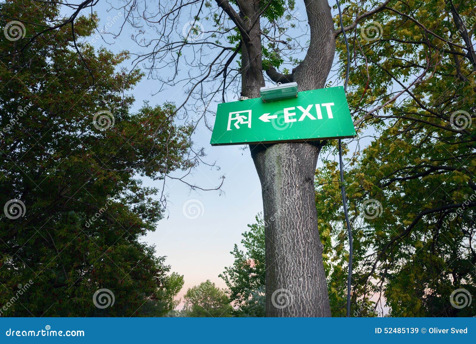 Exit sign on tree stock image. Image of park, emergency - 52485139