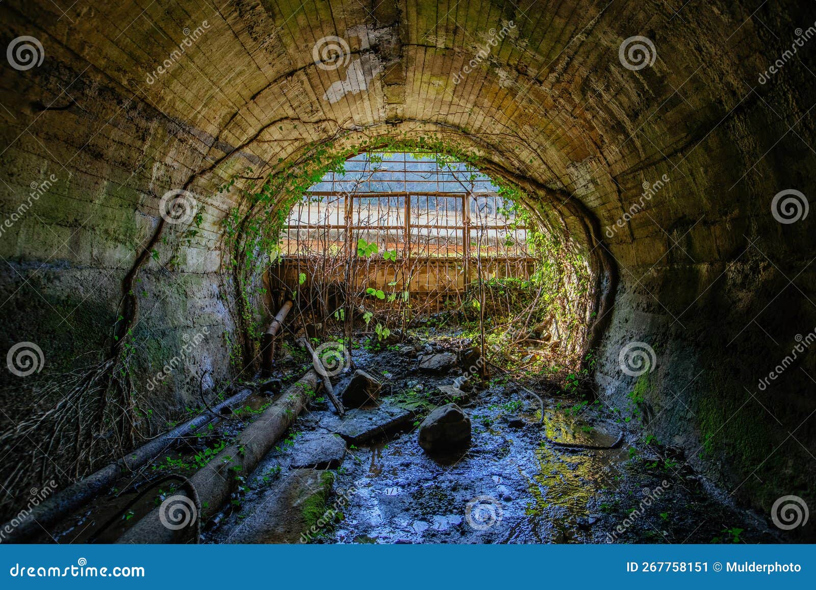Exit from Vaulted Sewer Tunnel. Underground River, View from Inside of ...