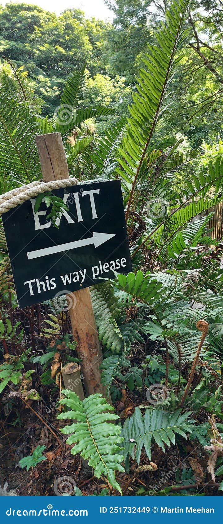 Exit this way please sign. stock image. Image of woodland - 251732449