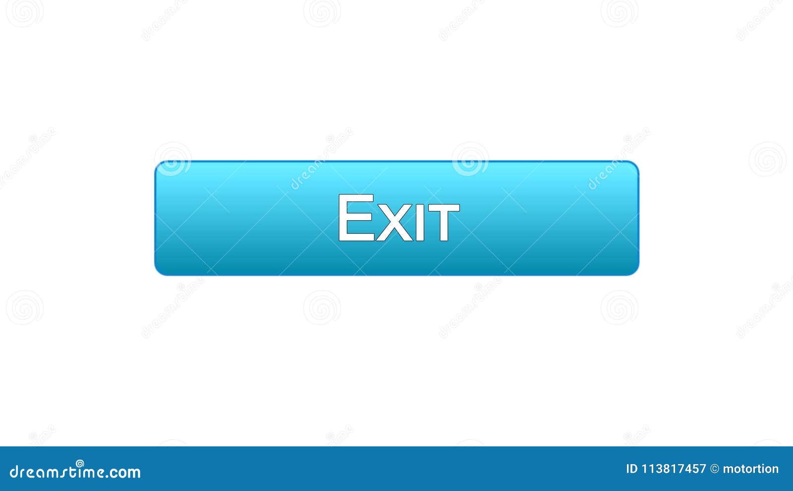 Exit Web Interface Button Blue Color Application Log Out Internet