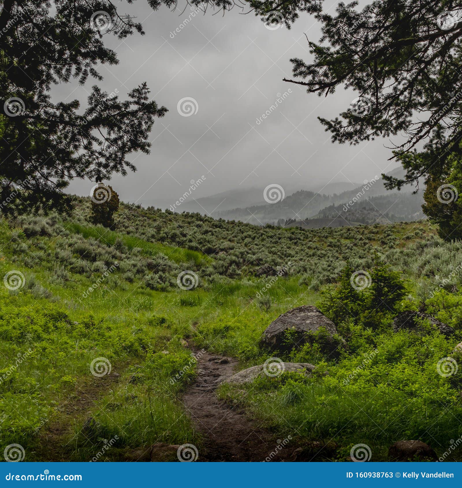 Exiting Forest into Wyoming Wilderness Stock Image - Image of marker ...