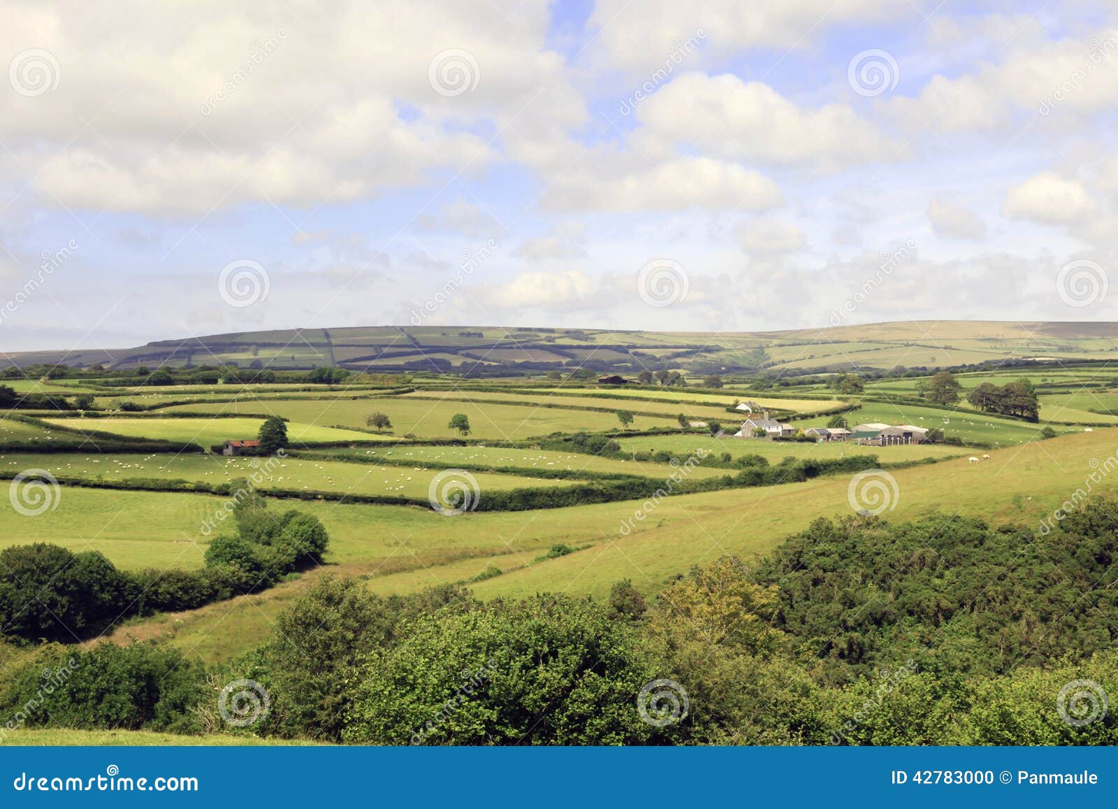 Exmoor Devon England stock photo. Image of green, rugged - 42783000