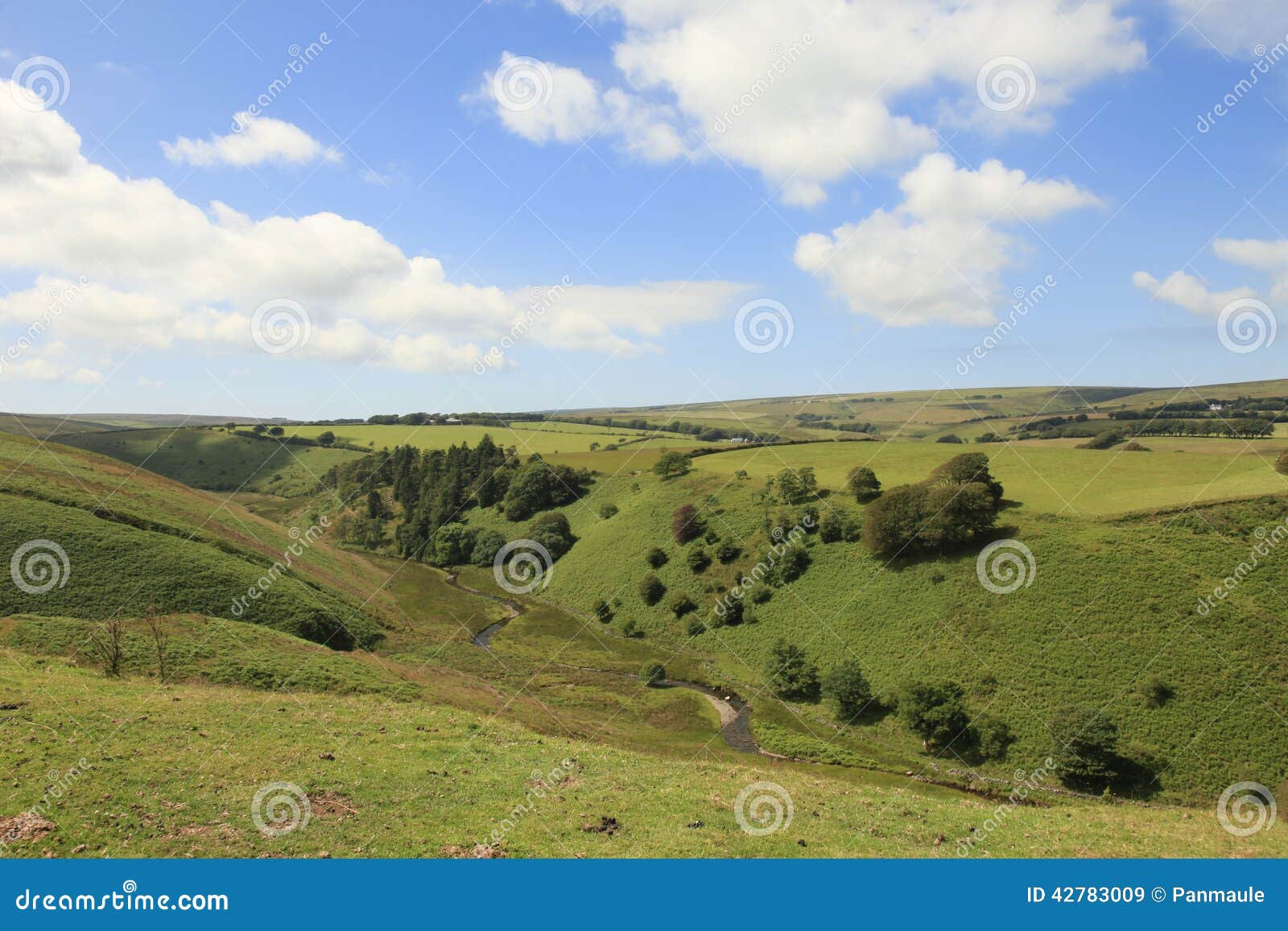 Exmoor Devon England stock image. Image of agriculture - 42783009