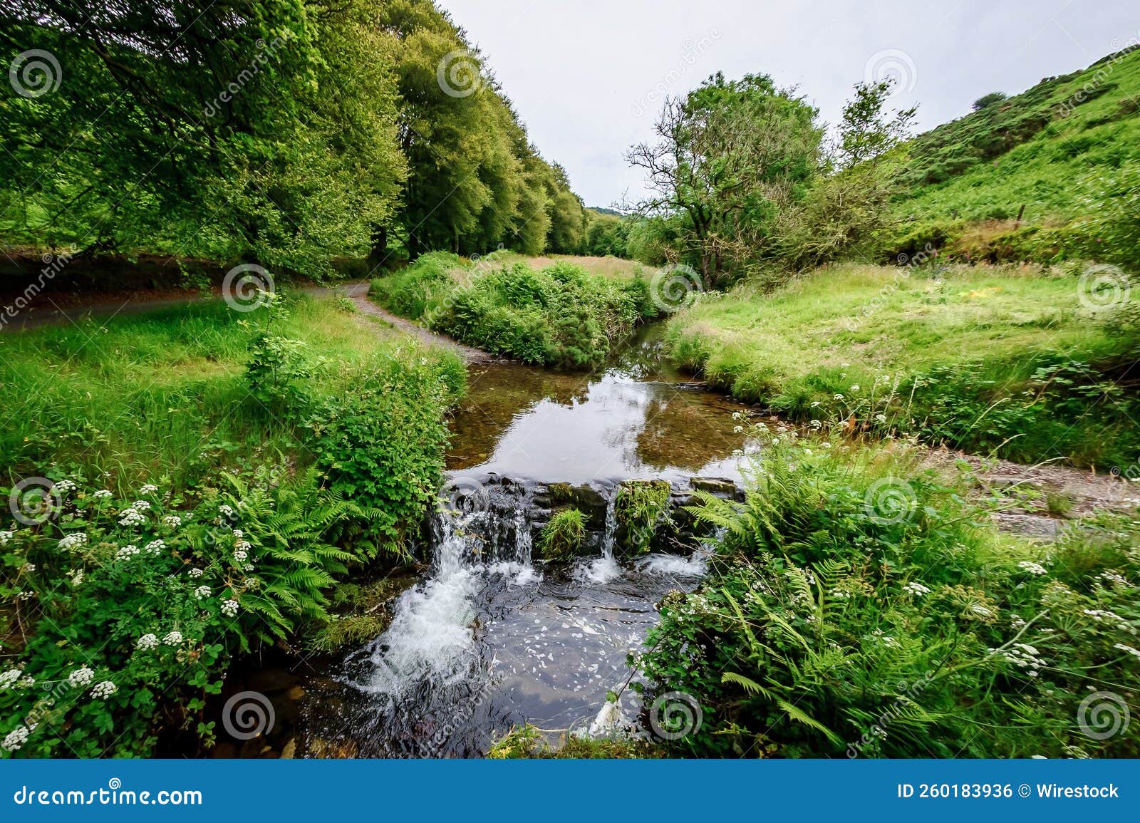 Exmoor Weir and Ford stock photo. Image of lists, environment - 260183936
