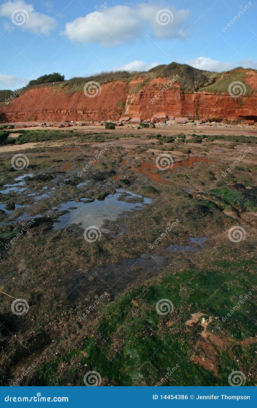 Exmouth cliffs and beach stock photo. Image of rocks - 14454386