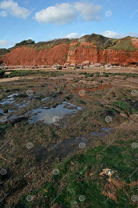 Exmouth cliffs and beach stock photo. Image of rocks - 14454386