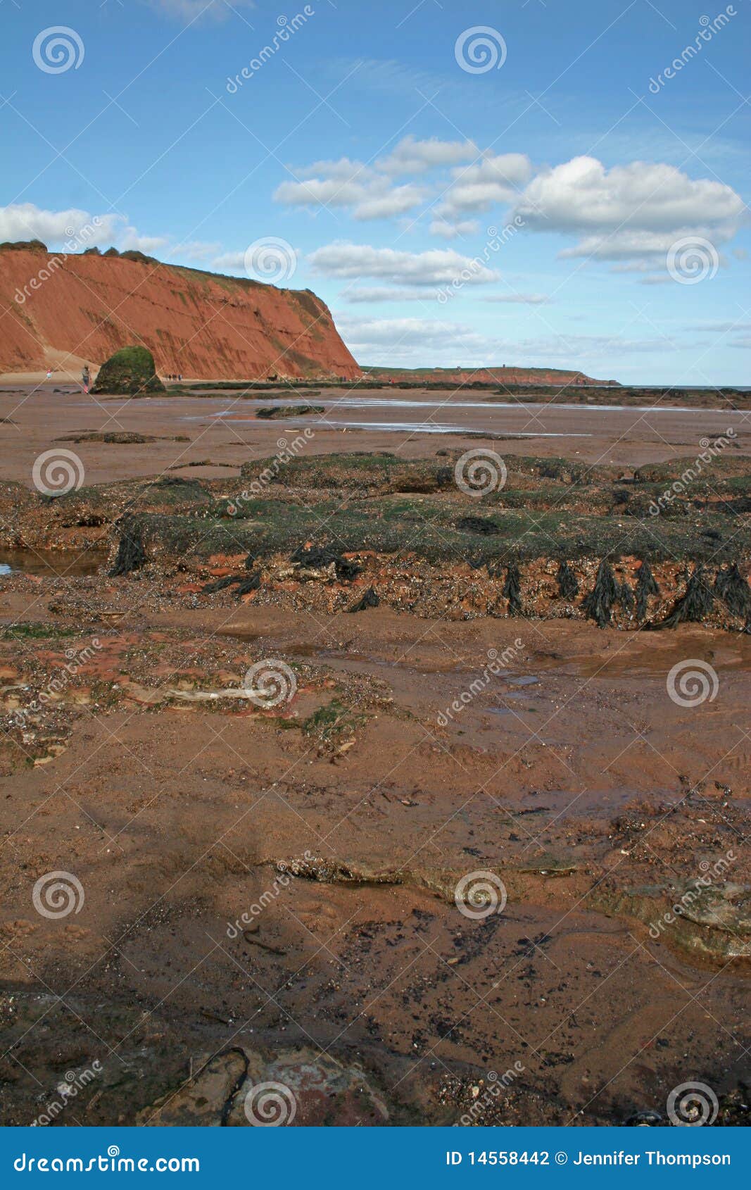 Exmouth cliffs and beach stock photo. Image of cloud - 14558442
