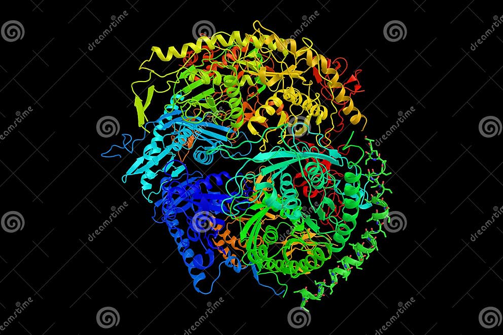 Exosome Component 8, a Protein Product Stock Illustration ...