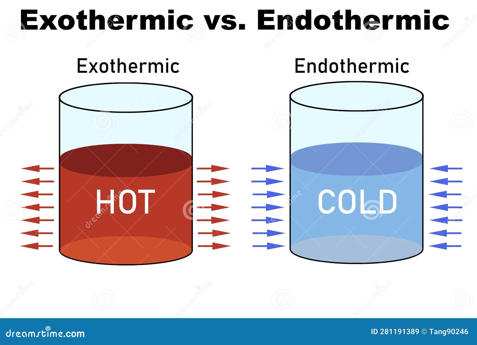 Endothermic Vs Exothermic Reactions Infographic Diagr - vrogue.co Endothermic Vs Exothermic Reactions Infographic Diagr - vrogue.co
