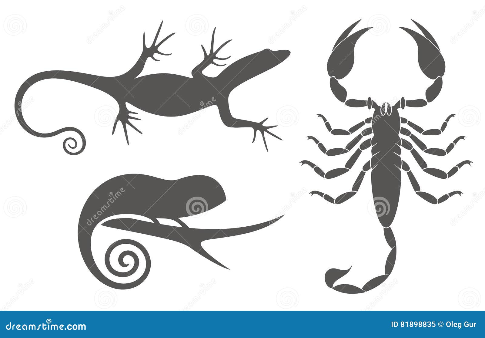 Exotic animals stock vector. Illustration of design, isolated - 81898835