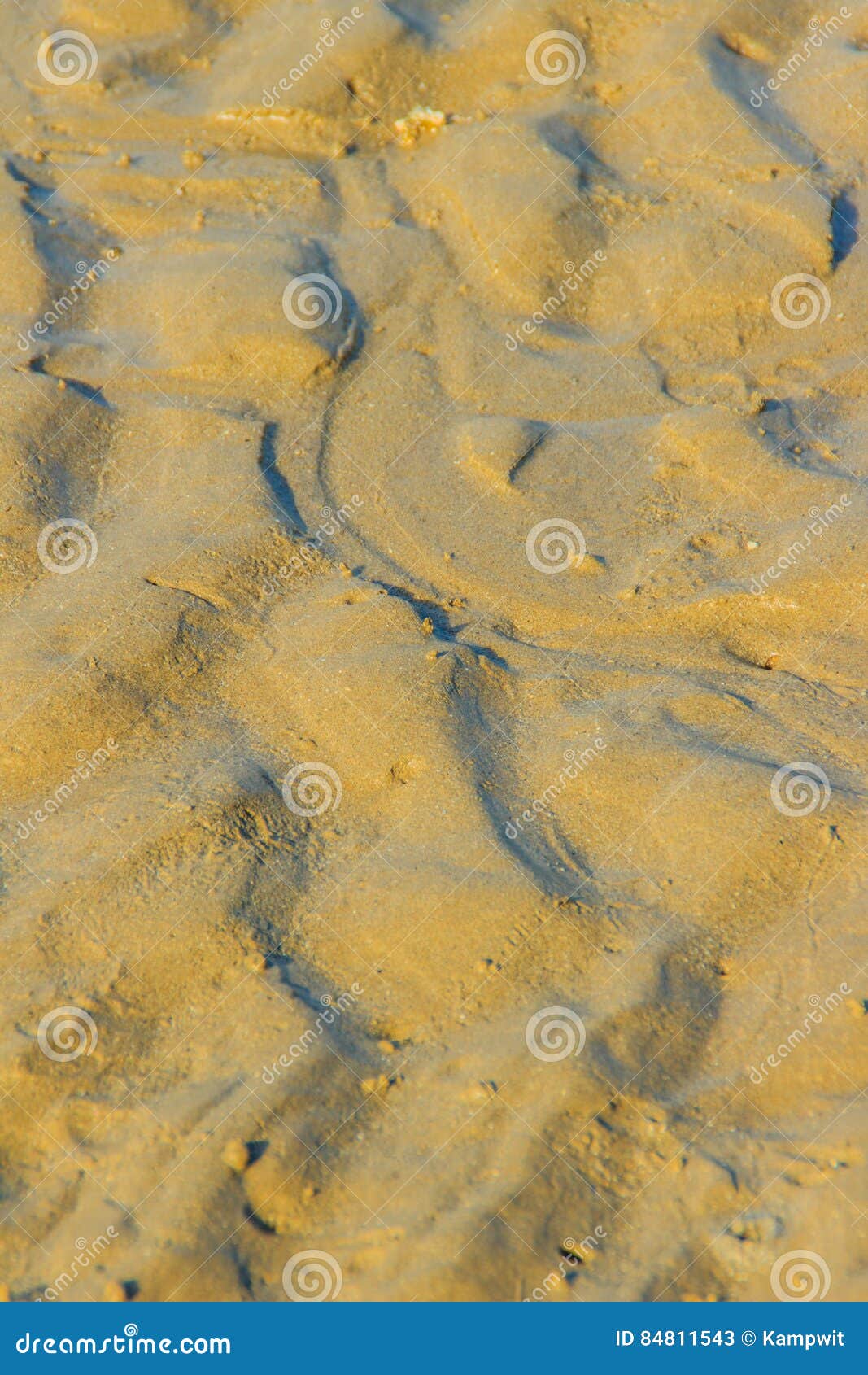 Exotic and Beautiful Wave Pattern on the Sand in the Beach after Stock ...
