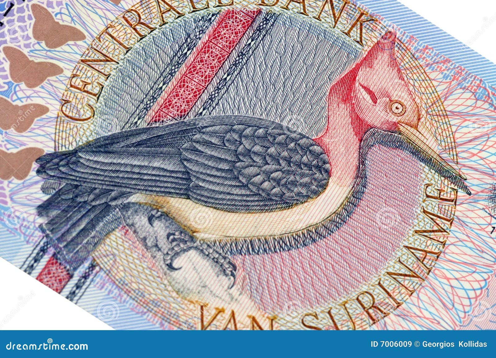 Exotic Bird on Banknote from Suriname Stock Image - Image of note, cash ...