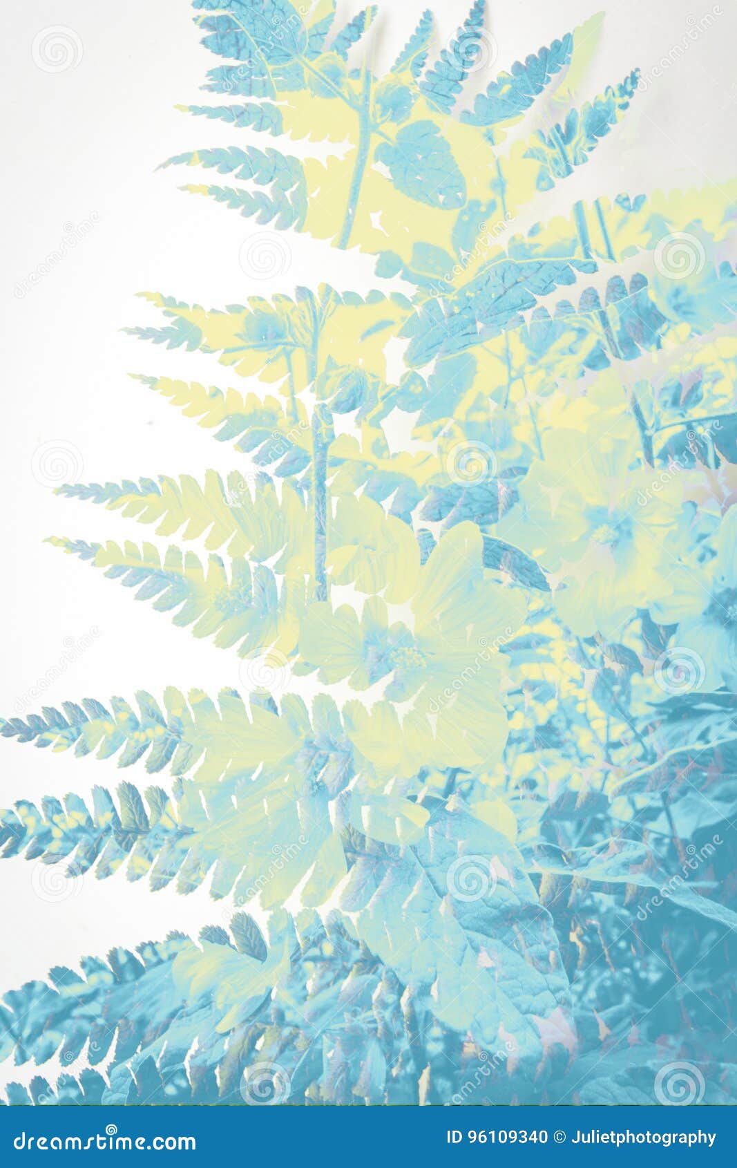 Exotic Blue Plants Background Stock Photo - Image of forest, bloom ...