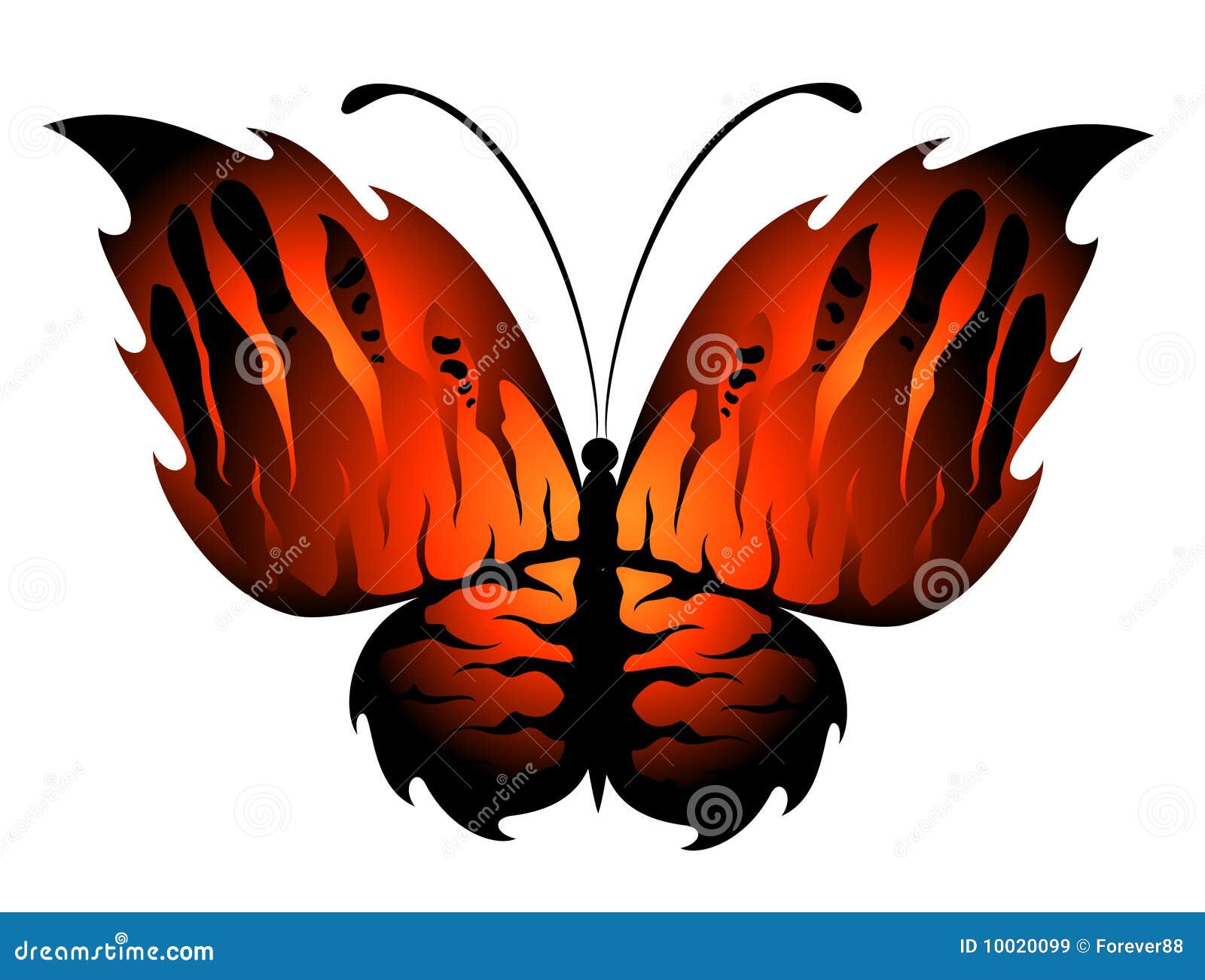 Exotic butterfly stock vector. Illustration of beautiful - 10020099