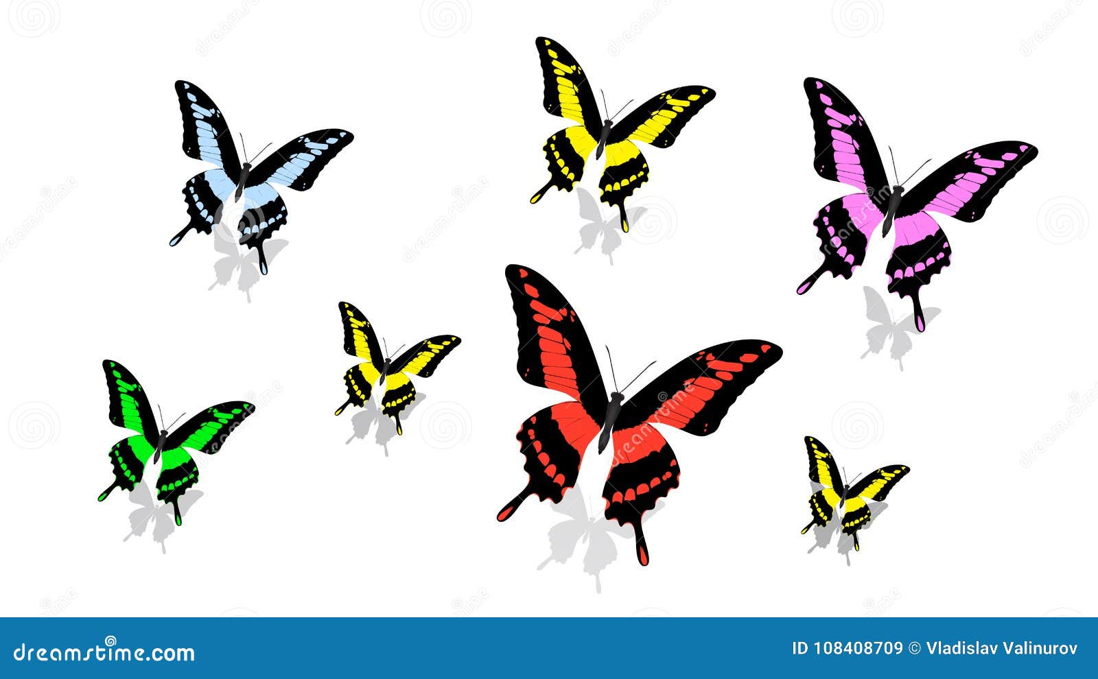 Exotic Butterfly of Different Size and Color, Random Order, Top View ...