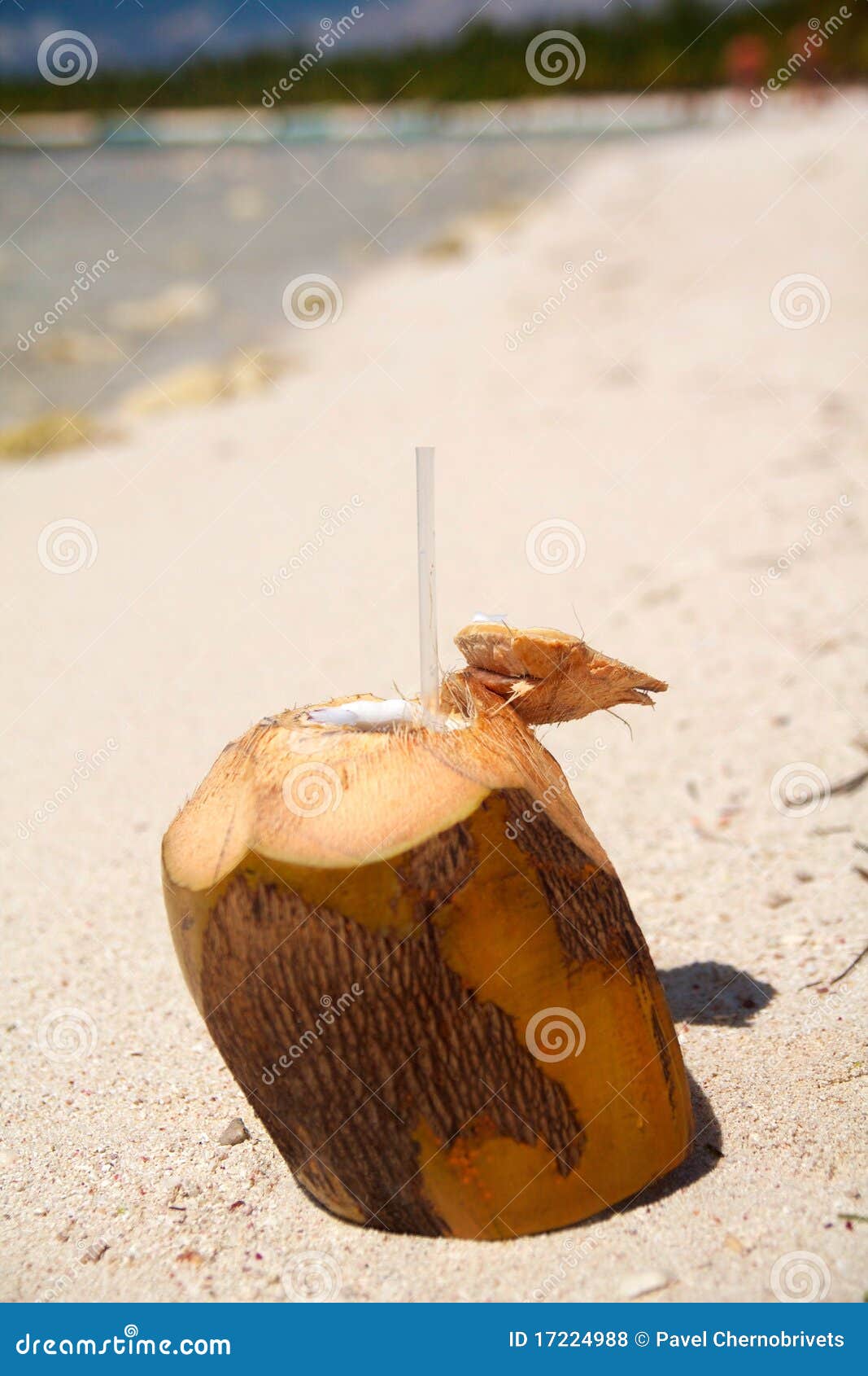 Exotic Cocktail on Caribbean Sea Stock Photo - Image of exotic, coconut ...