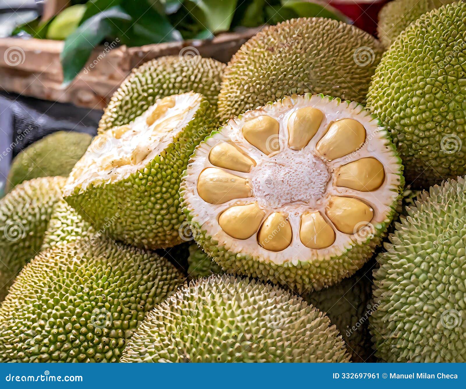 Exotic Durian Fruit Display at a Tropical Market Stock Image - Image of ...