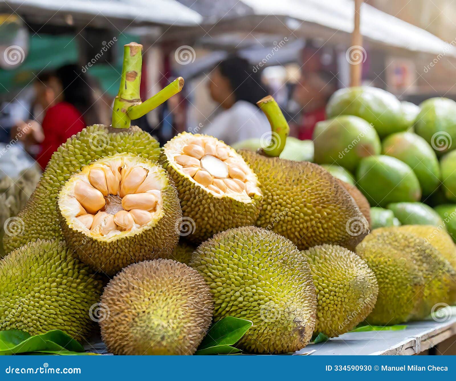 Exotic Durian Fruit Display at a Tropical Market Stock Photo - Image of ...