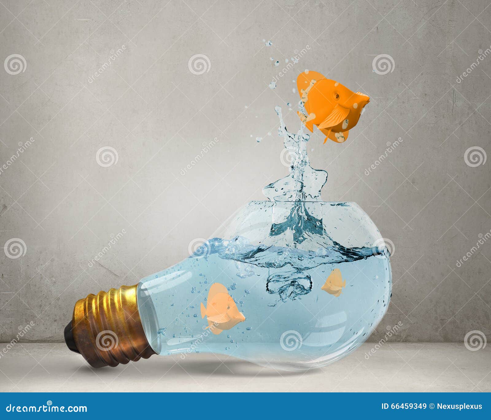Exotic fish in bulb stock image. Image of lightbulb, symbol - 66459349
