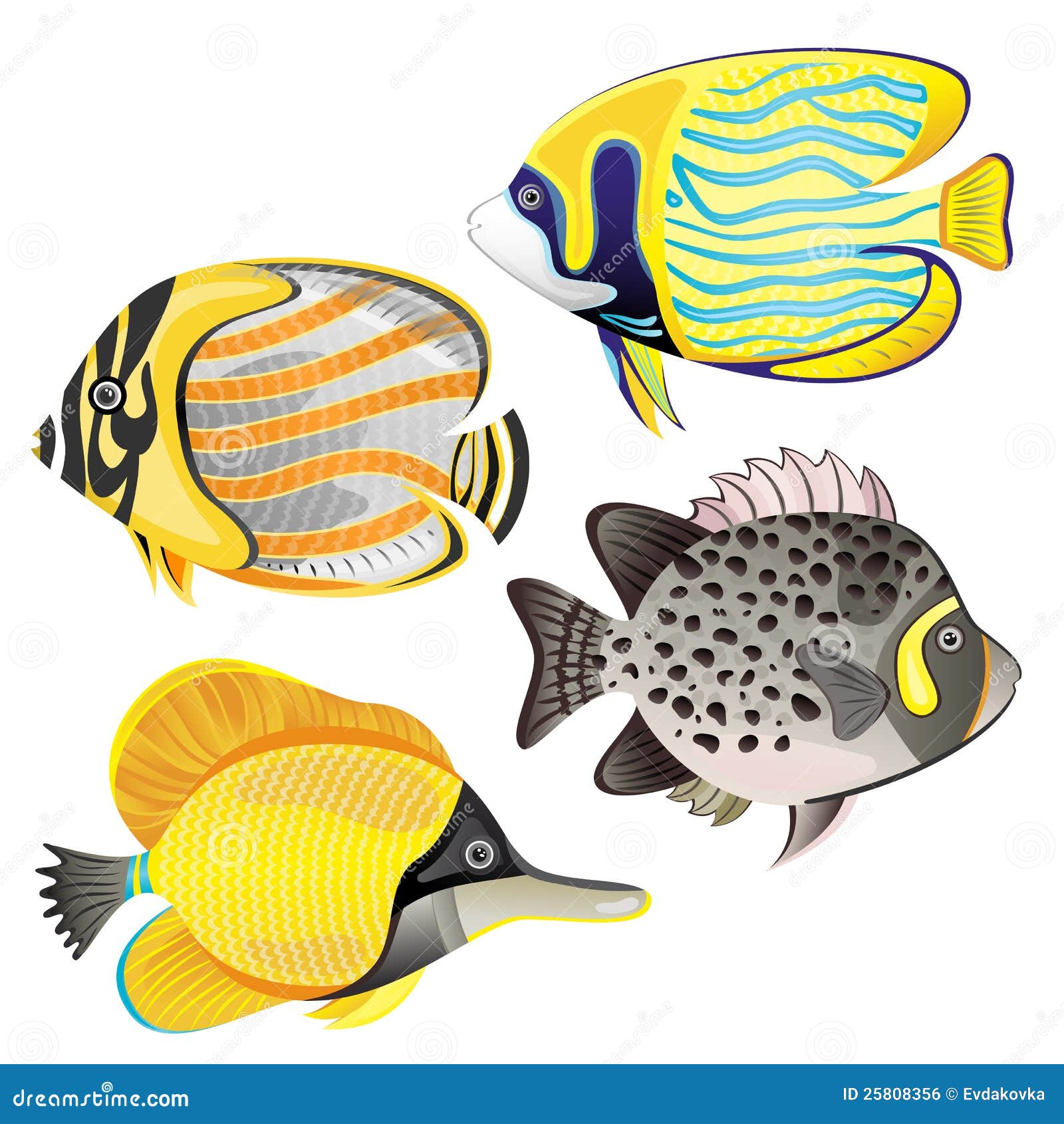 Exotic Fish. Dot To Dot Game With Answer. Connect The Dots By Numbers ... Exotic Fish. Dot To Dot Game With Answer. Connect The Dots By Numbers ...