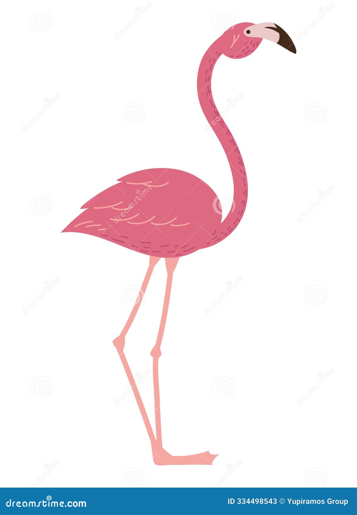 Exotic flemish bird stock vector. Illustration of exotic - 334498543