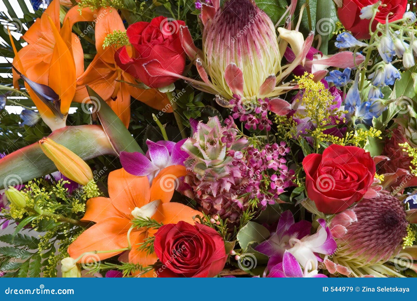 Exotic Flowers Stock Photography | CartoonDealer.com #22850540