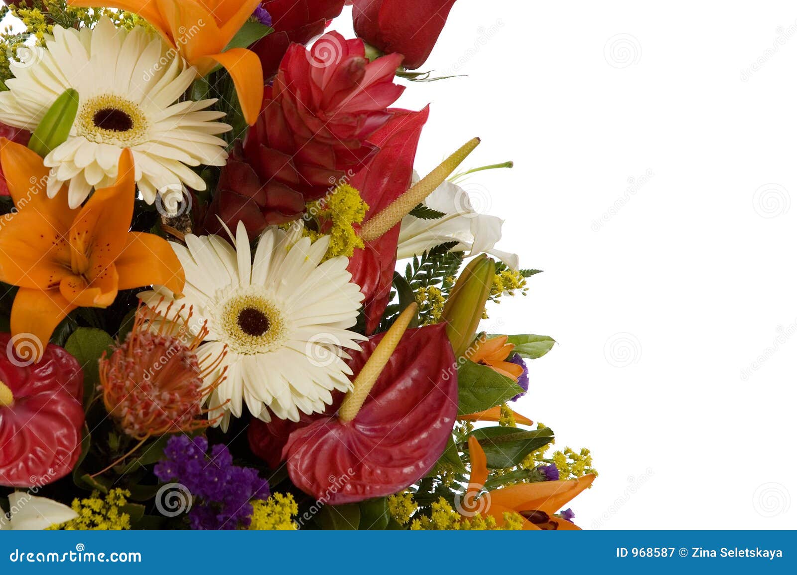 Exotic Flowers Stock Photography | CartoonDealer.com #22850540