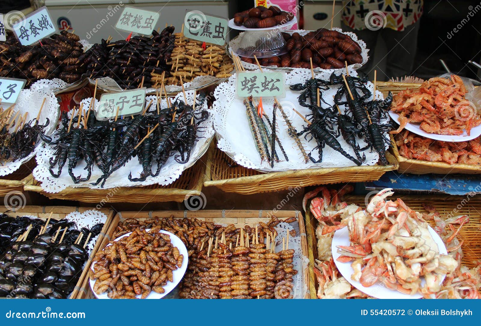 Exotic food stock photo. Image of harbin, insects, market - 55420572