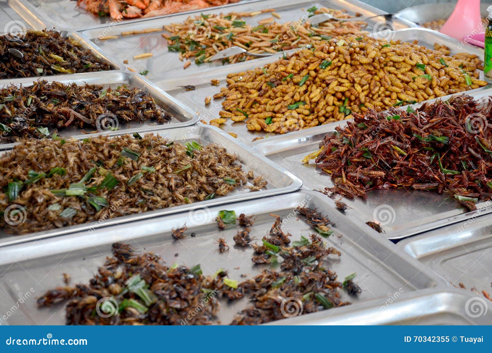 Exotic food fried Insect stock image. Image of breakfast - 70342355