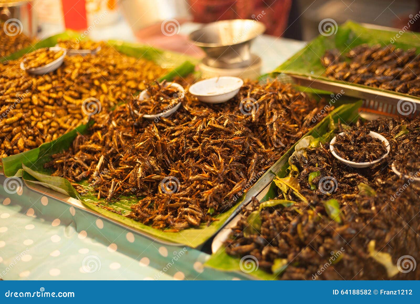 Exotic foods stock photo. Image of cooked, creepy, edible - 64188582