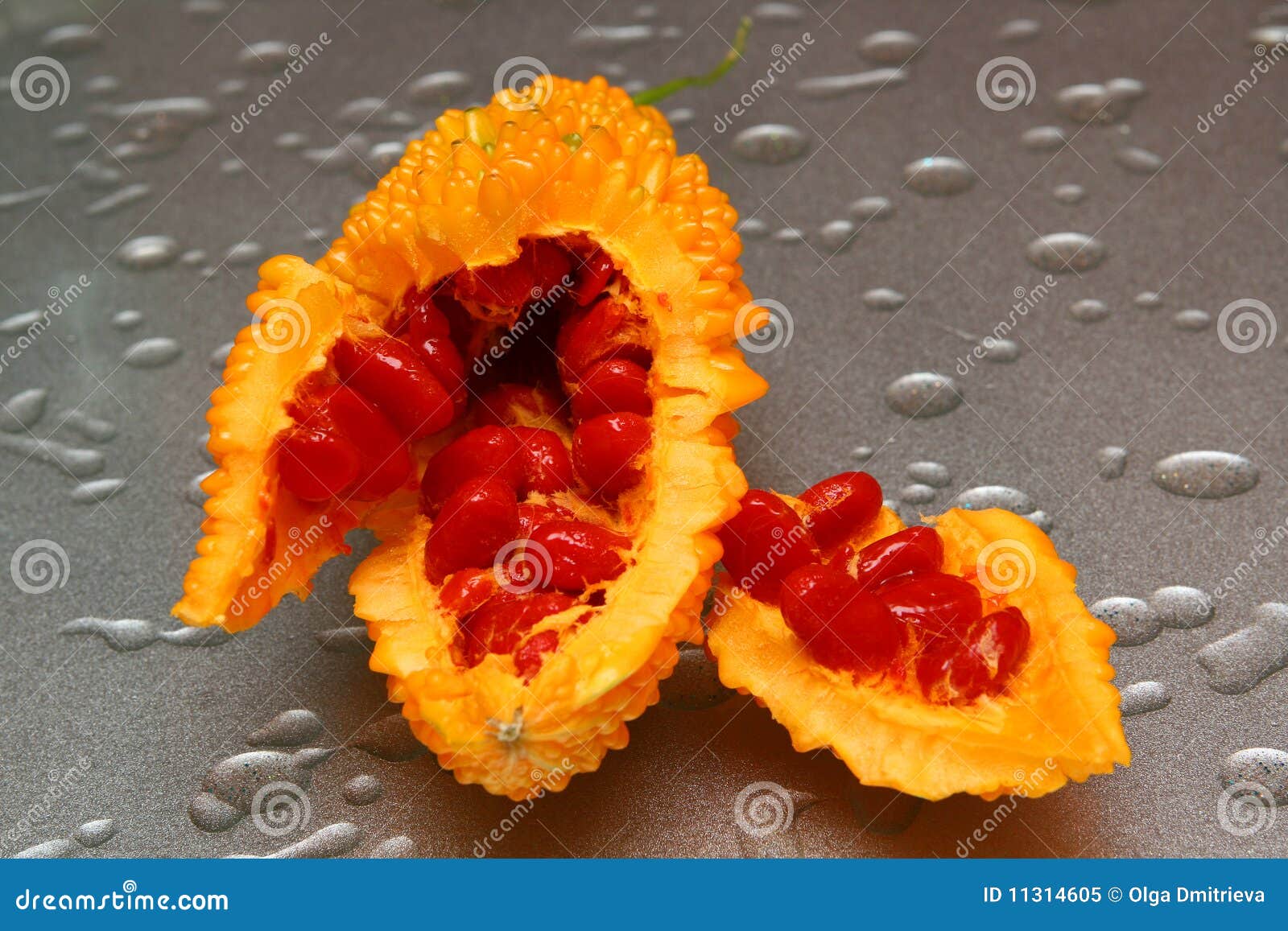 Exotic Fruit Achotillo Royalty-Free Stock Photography | CartoonDealer ...
