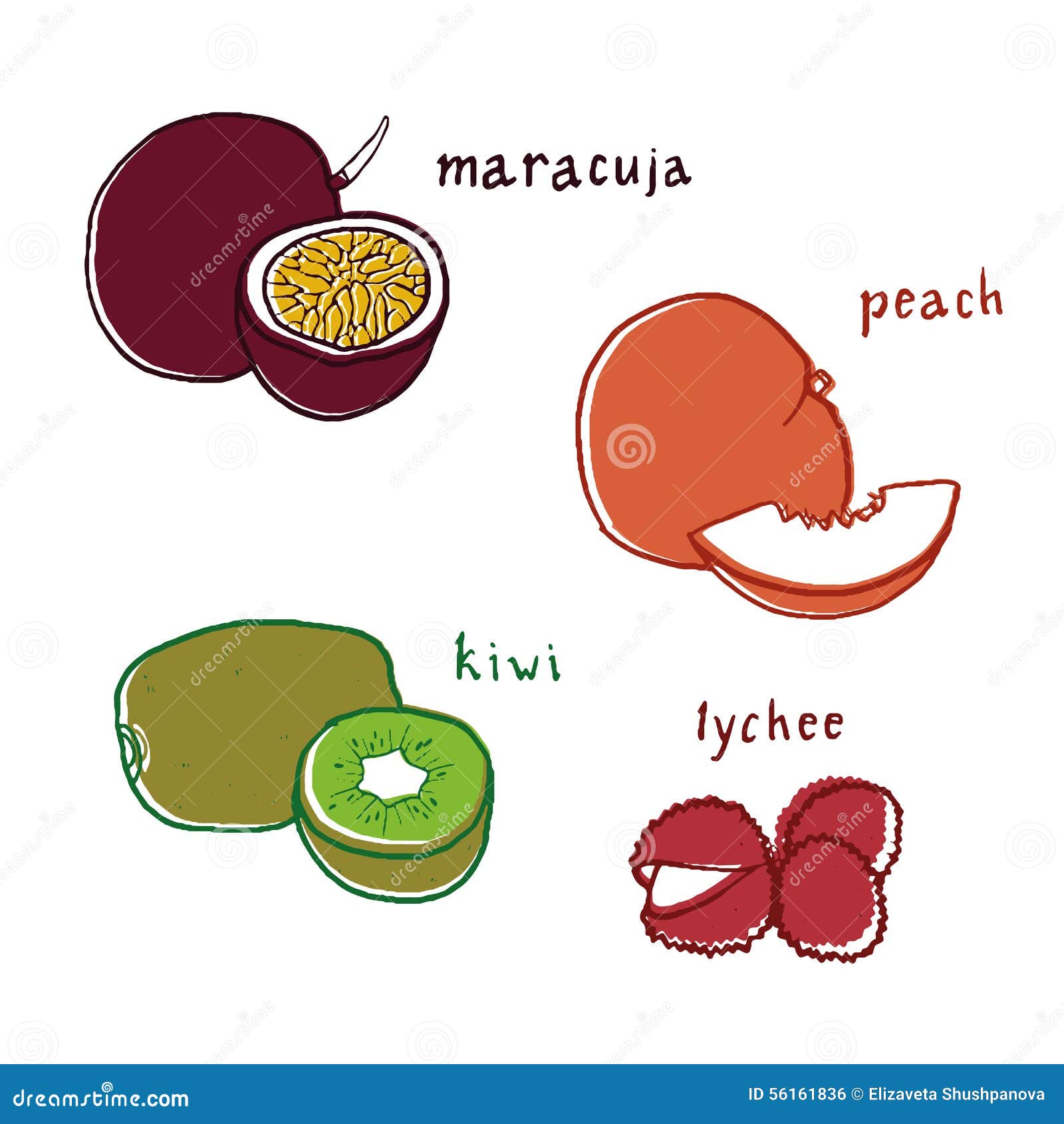 Exotic Fruit Flavor Drawings Set Vector Illustration | CartoonDealer ...