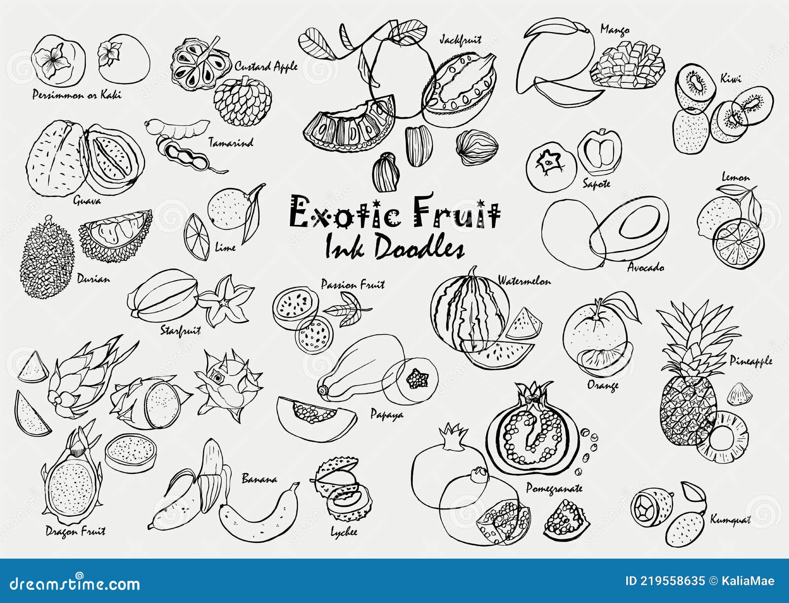 Exotic Fruit Ink Drawing Doodle Vector Icon Set. Hand-drawn Tropical ...