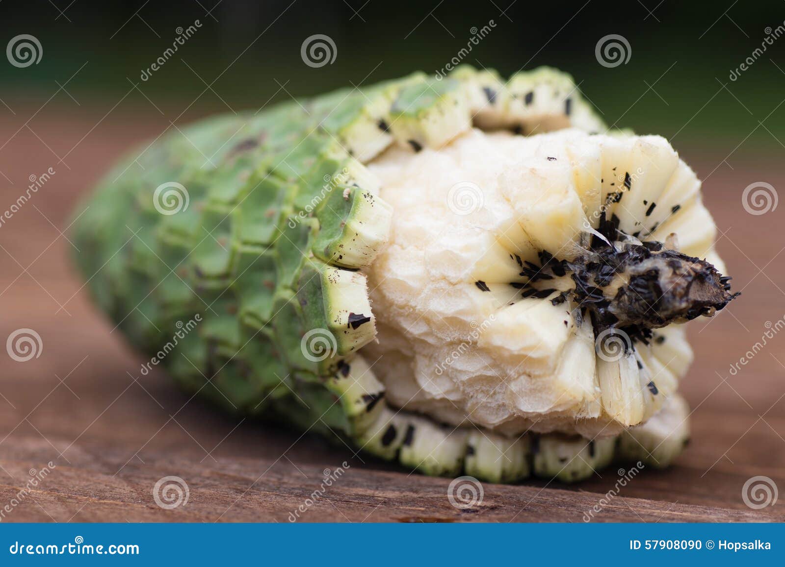 Exotic Fruit Monstera Deliciosa in Madeira Stock Photo - Image of open ... Exotic Fruit Monstera Deliciosa in Madeira Stock Photo - Image of open ...