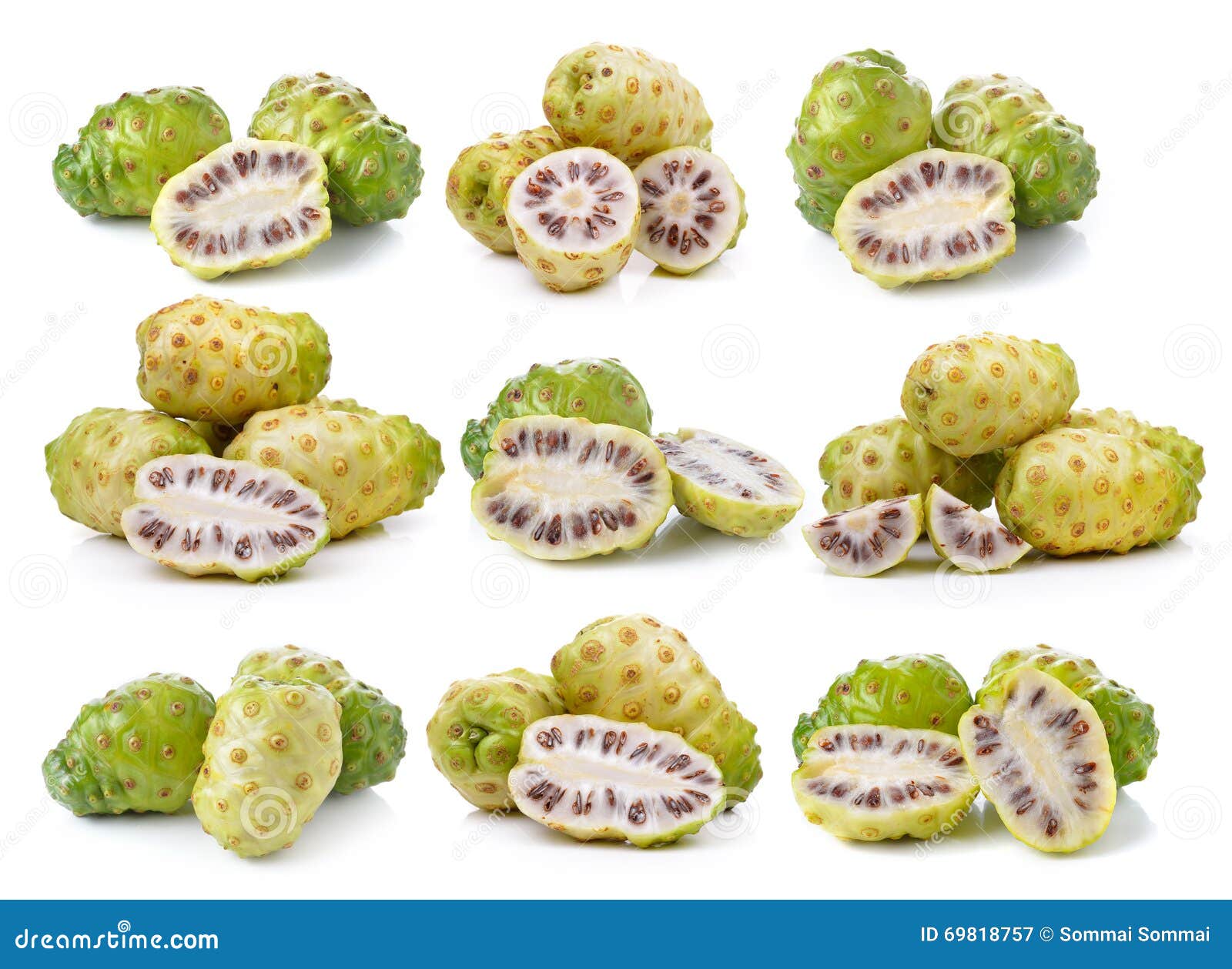 Noni Fruits On Exotic Tree With Leaves Background Royalty-Free Stock ...